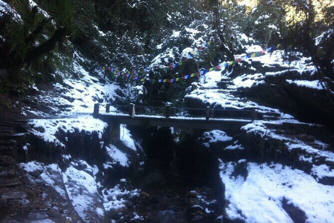 Ghorepani Poonhill Trek - What Makes the Ghorepani Poonhill Trek Special?