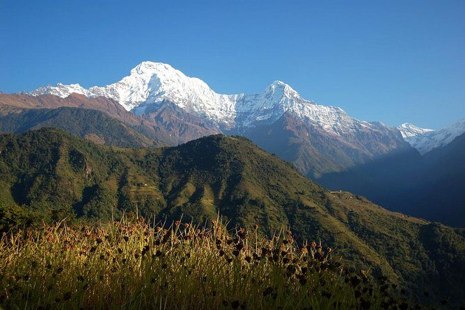 Ghorepani Poonhill Trekking - 9 Days - The Itinerary: What to Expect