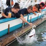 Giant Tarpon Fish Feeding Experience in Bayside Marketplace - Key Points