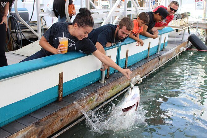 Giant Tarpon Fish Feeding Experience in Bayside Marketplace - Key Points