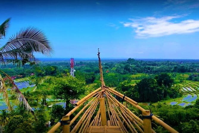 Gianyar Waterfall eBike Private Tour - Who Should Consider This Tour?