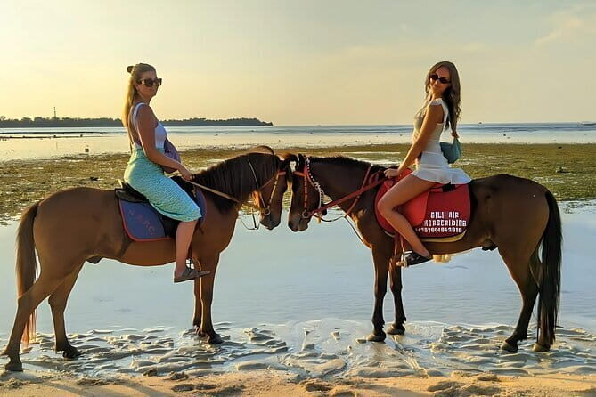 Gili Air 1 Hour Horseback Beach Adventure - The Scenic Highlights and Its Unique Charm
