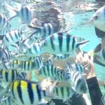Gili Asahan Snorkeling Tour - Deep Dive into the Itinerary