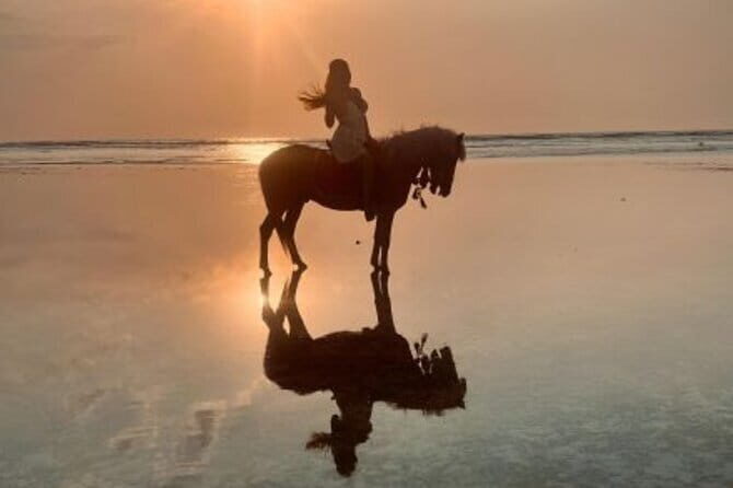 Gili Trawangan Beach Horseback Riding with Pickup Hotel - The Ride and Scenic Highlights