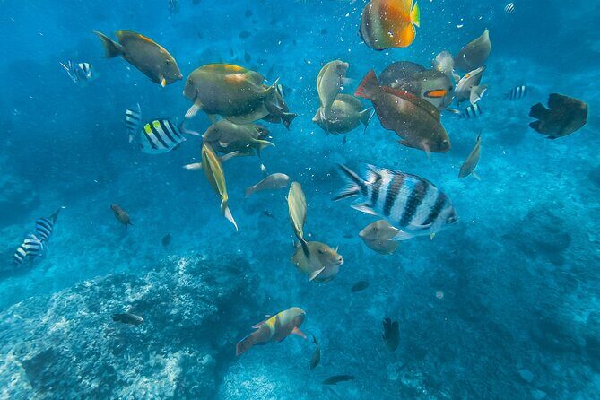 Gili Trawangan Island Day trip from Bali - Who Will Enjoy This Tour?