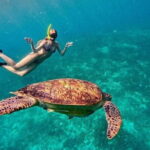 Gili Trawangan Snorkeling with Turtles & Underwater Statue - What Reviewers Say