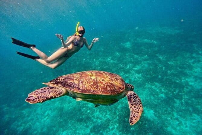 Gili Trawangan Snorkeling with Turtles & Underwater Statue - What Reviewers Say