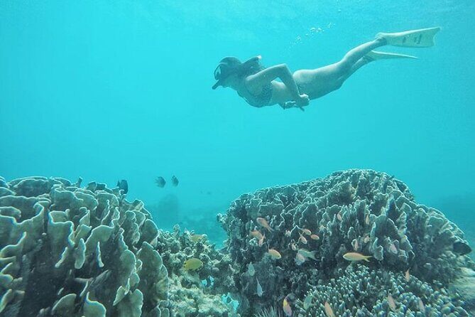 Gili Trawangan,Gili Meno& Gili Air Island:Snorkeling Day Trip Depart from Lombok - What Do Travelers Say?