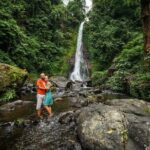Gitgit and Alingaling Waterfalls Private Group Tour - Full Day - The Itinerary in Detail