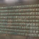 Giza Pyramid with Grand Egyptian Museum Tour - The Value of This Tour