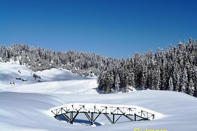 Glimpse of Kashmir - Venturing Up to Gulmarg: India’s Alpine Meadow