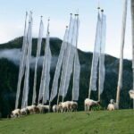 Glimpses of Bhutan - 4 Days Tour - Authentic Experiences and Traveler Feedback