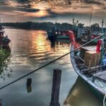 Glowing Kuala Selangor Firefly Tour - The Itinerary: A Closer Look