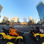 Go Karting Tokyo Bay Experience | 9 Top Destinations in 120 Mins - Who Will Enjoy This Experience?