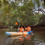 Goa: Backwater Kayaking Tour - Real Traveler Perspectives