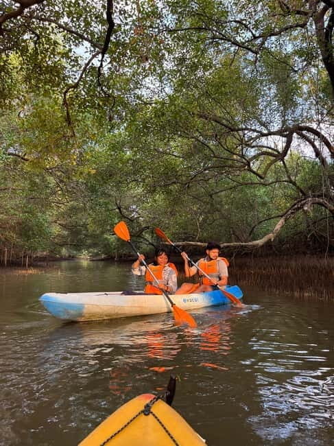 Goa: Backwater Kayaking Tour - Real Traveler Perspectives