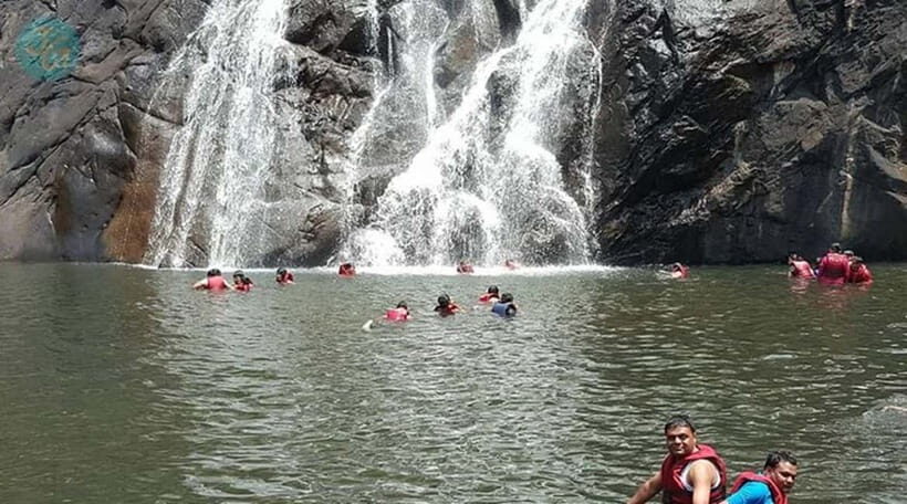 Goa: Dudhsagar Waterfall, Jeep Safari and Spice Plantation - Authentic Experiences and Tips for Making the Most