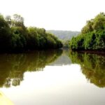 Goa Kayaking Spike's Salonia Backwaters Kayaking Experience - Authentic Experiences & Real Traveler Insights