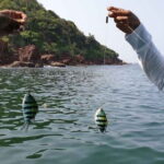 Goa Scuba Diving at Grand Island Join Tour - Final Thoughts