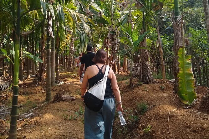 Goan Village Life Tour - Practical Details and What They Mean for You