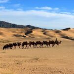 Gobi desert Mongolia for 8 days - An In-Depth Look at the Itinerary