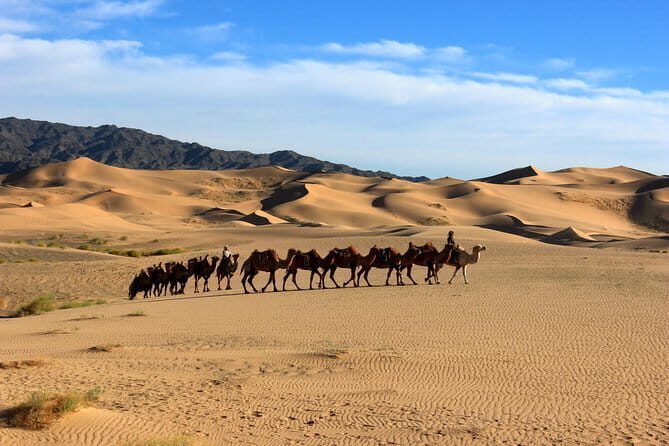 Gobi desert Mongolia for 8 days - An In-Depth Look at the Itinerary