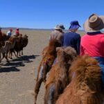 Gobi Tour May 2019 02-07 June - Who Will Appreciate This Tour?
