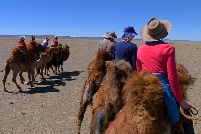 Gobi Tour May 2019 02-07 June - Who Will Appreciate This Tour?