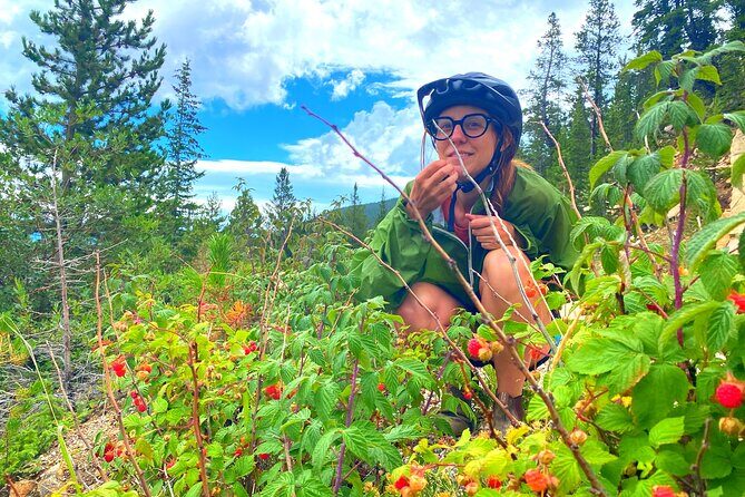 Golden to Red Rocks Electronic Bike Tour - Who Is This Tour Best For?