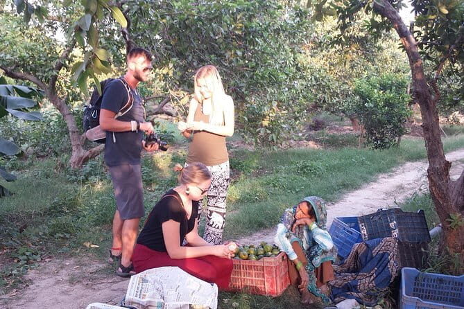 Golden Triangle Tour with Heritage Village visit. New Delhi - Agra - Jaipur - The Journey to Agra and the Taj Mahal