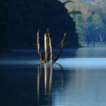 Golden Triangle Tour with Kerala - Who Should Consider This Tour?