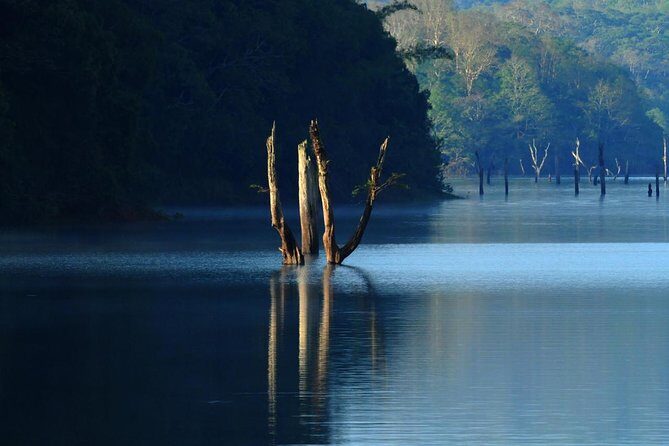 Golden Triangle Tour with Kerala - Who Should Consider This Tour?