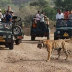 Golden Triangle Tour with Leopard Safari (Taj Mahal at Sunrise) - Traveler Experience & Authenticity