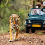 Golden Triangle Tour with Ranthambore (3 Star Hotel) - Valuing the Experience