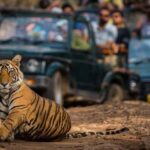 Golden Triangle Tour with Ranthambore (5 Star Hotel) - Final Thoughts on the Golden Triangle with Ranthambore