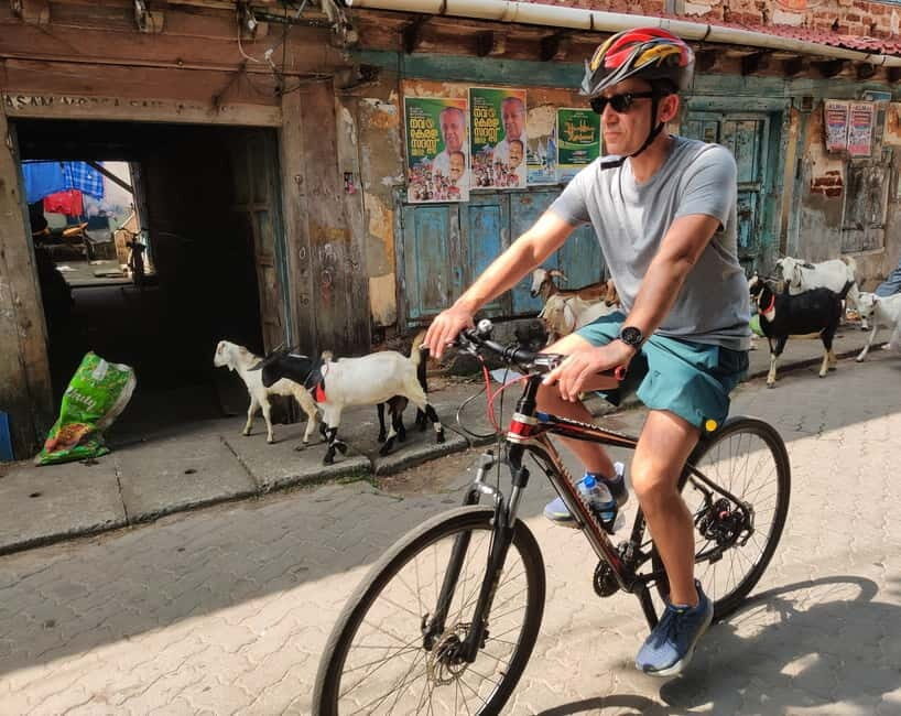 Good Morning Kochi Bicycle Tour - A Detailed Breakdown of the Tour Experience