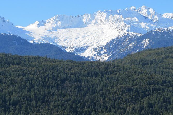 Grand City Small Group Tour of Vancouver - The Value: More Than Just Sightseeing