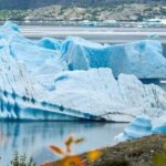 Grand Seward Ocean and Icebergs 1.5 hours 2 Landings Seward - What Makes This Tour Special?