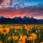 Grand Teton: Private Guided Tour (Sunset) - Why This Tour Is a Great Choice