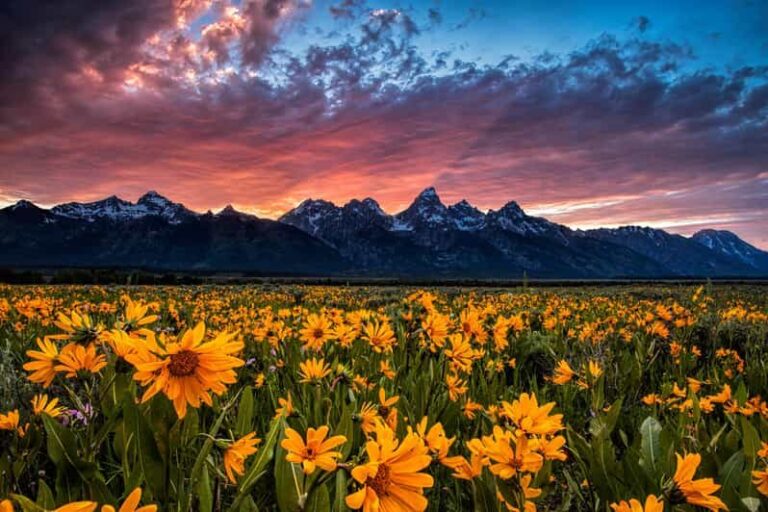 Grand Teton: Private Guided Tour (Sunset) - Why This Tour Is a Great Choice