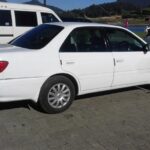 Grand Tour 13 Nights 14 Days Tour with chauffeur Guide - Who Will Love This Tour?