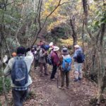 Granite Obelisk in Yakushima Full-Day Trekking Tour - Exploring the Itinerary in Detail