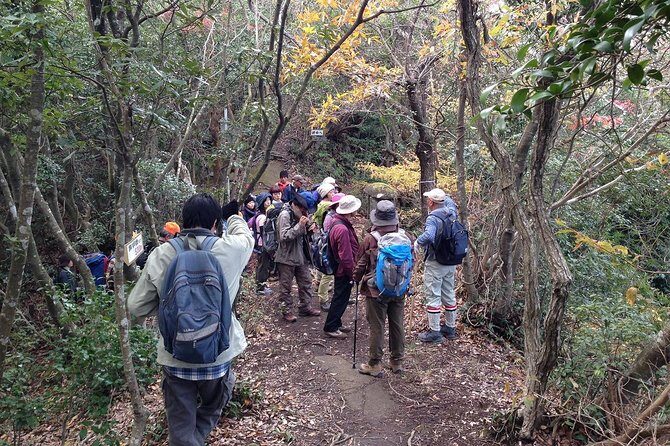 Granite Obelisk in Yakushima Full-Day Trekking Tour - Exploring the Itinerary in Detail