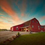 Grape to Glass Wine Experience - What Makes This Experience Special?