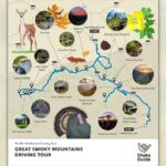 Great Smoky Mountains National Park Self-Guided Audio Tour - FAQ