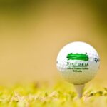 Green Fairways and Golf Break (9 Days) - Practical Considerations and Overall Value