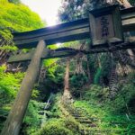 Green Tea Fields, Serene Beautiful Nature of Kyoto: Private Tour - Ishitera Tea Plantation — A Sky-High View of Greenery