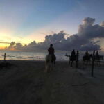 Group horseback ride on Holbox Island, Quintana Roo - What to Expect During the Tour