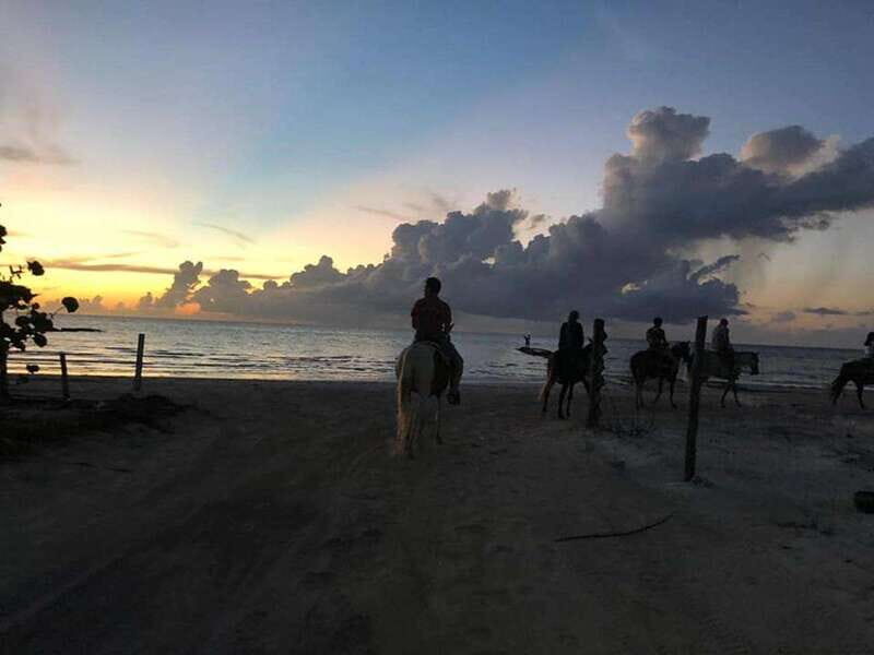 Group horseback ride on Holbox Island, Quintana Roo - What to Expect During the Tour