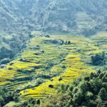 Group Tour - Visit All Highlights of Sapa in 1 Day - A Practical Look at the Tour Experience